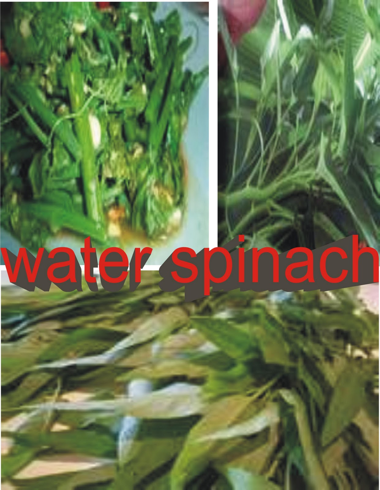 Overcome Disease: water spinach