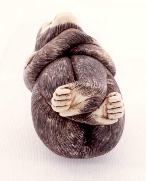 Kriptozoológia - Az állatvilág rejtélyes oldala: Hibagon - A japán ...