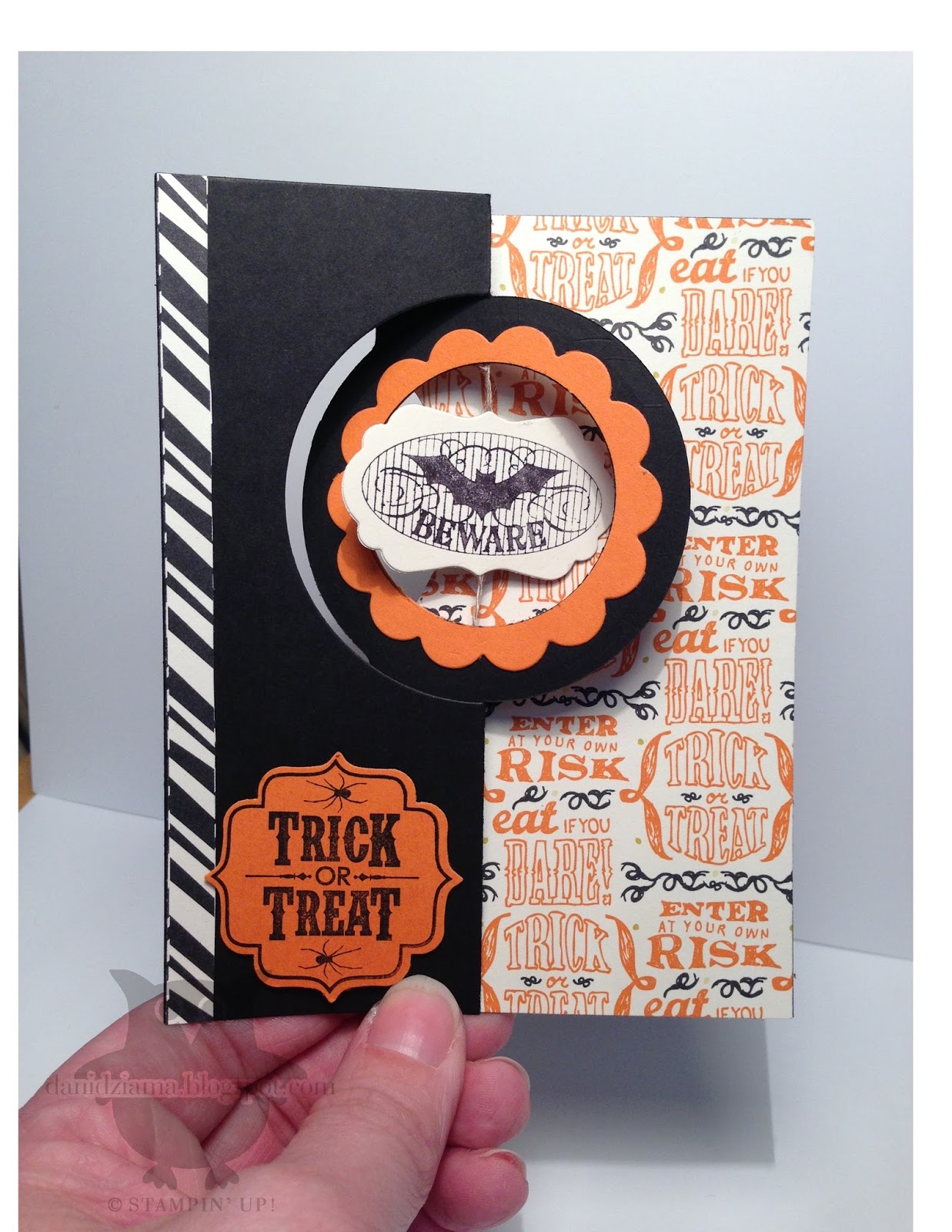 Dani's Thoughtful Corner: So much fun!