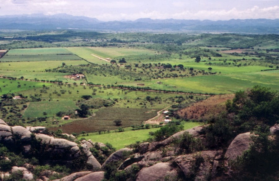 Aquí, donde vivo yo.: COITA Y EL ORIGEN DEL MUNDO.