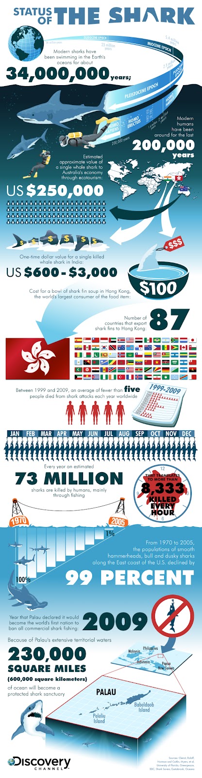 Zoo News Digest: Shark Conservation Infographic