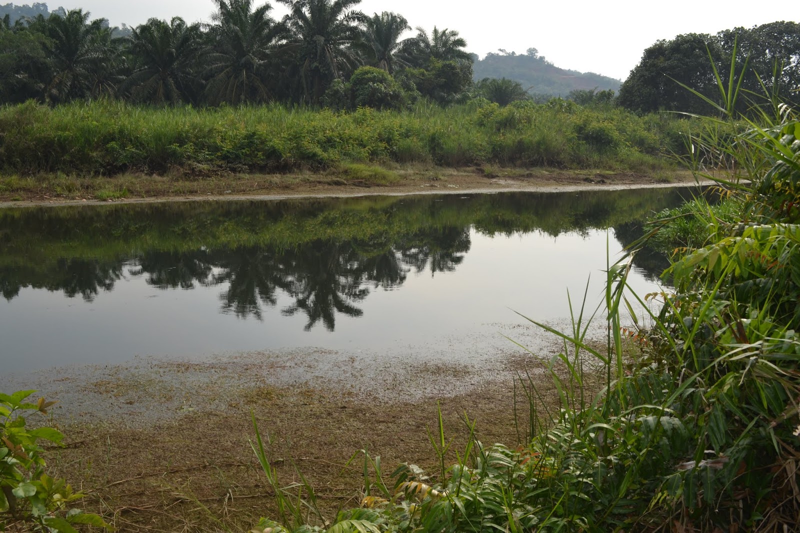 Tun Mamat dari Melaka ke Bukit Inas, Seri Medan