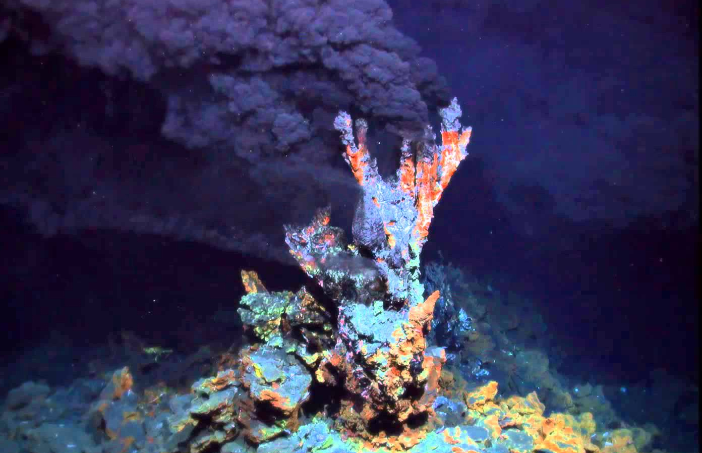 Naturarchives: agosto 2015