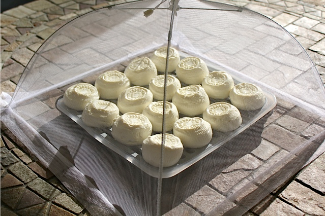 Merci Chocolat: Gbejniet (Maltese Cheese)