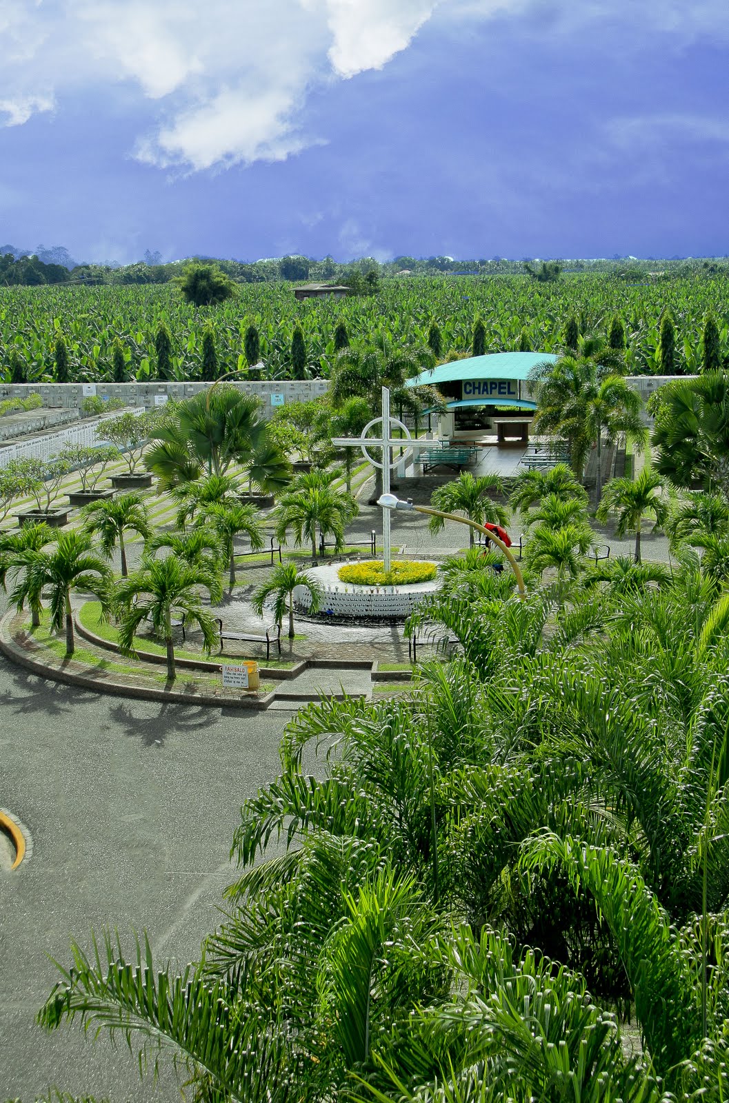 Tagum Snapshots: A GLIMPSE OF TAGUM CITY