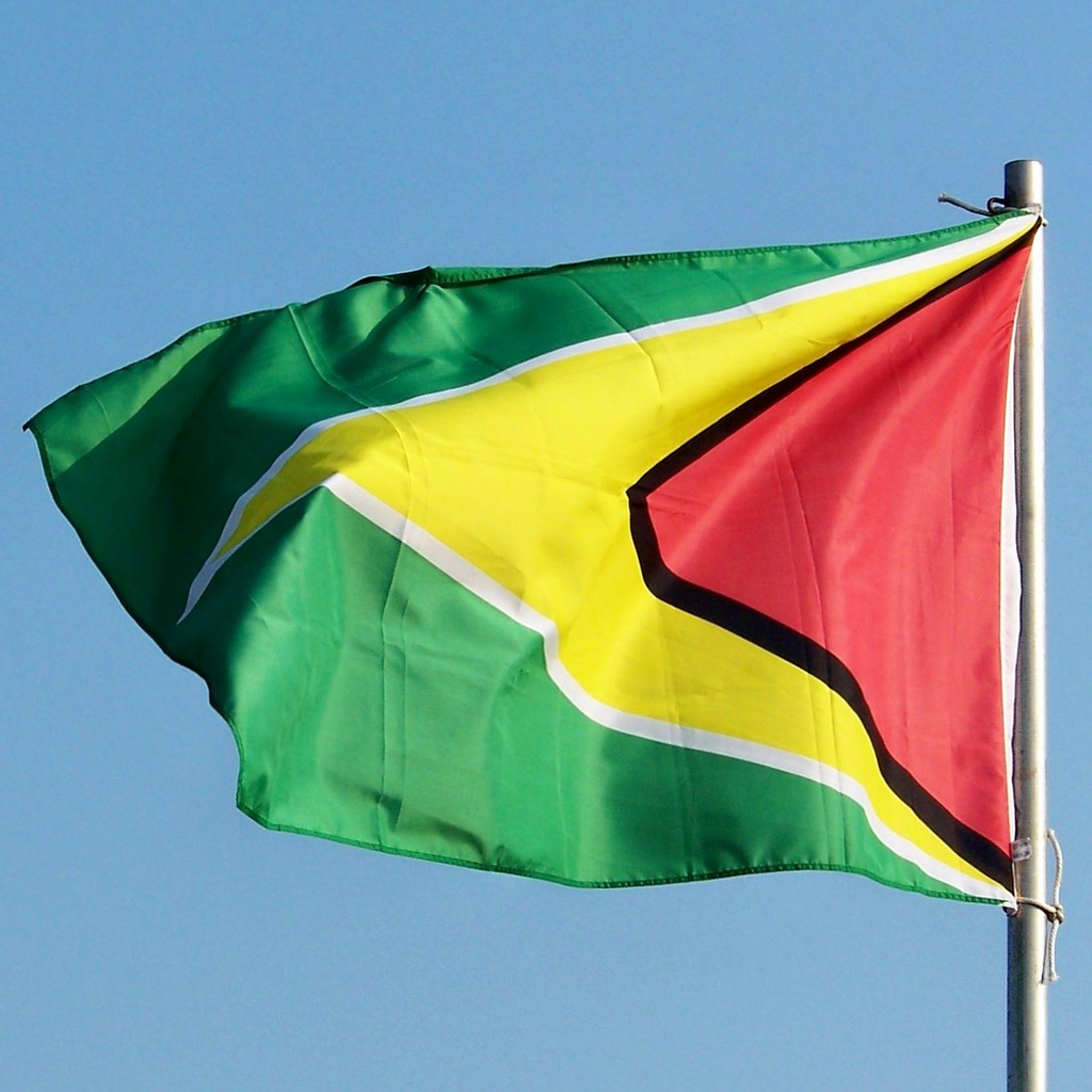 Guyana Official Flag