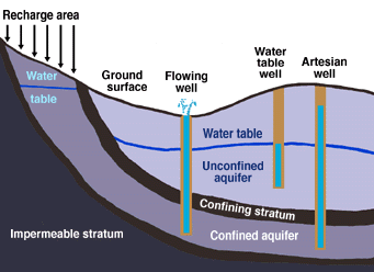Fircrest's Rising Water Table: Worth Reviewing...