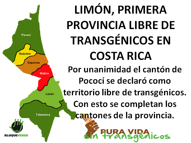 Provincia de Limón en Costa Rica Libre de Transgénicos. y solo faltan ...