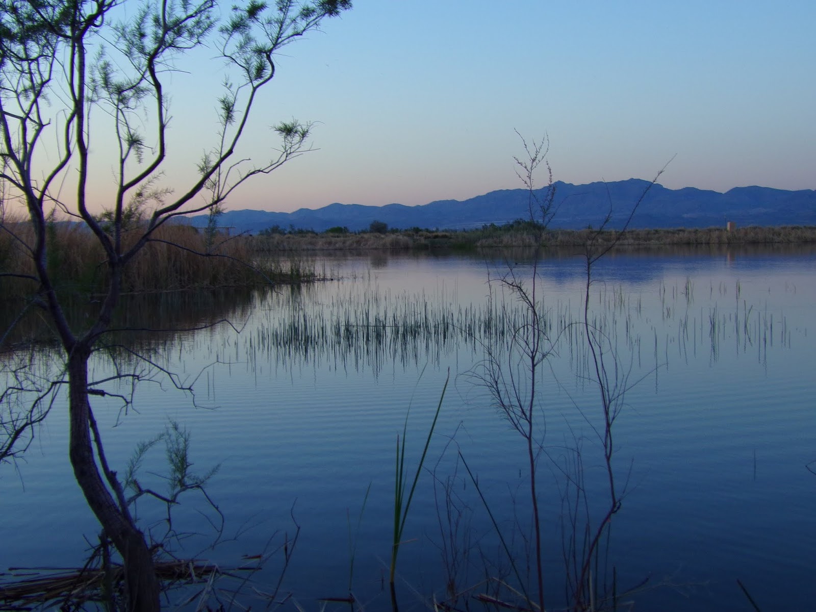 Roper Lake State Park - Dankworth Village, Arizona