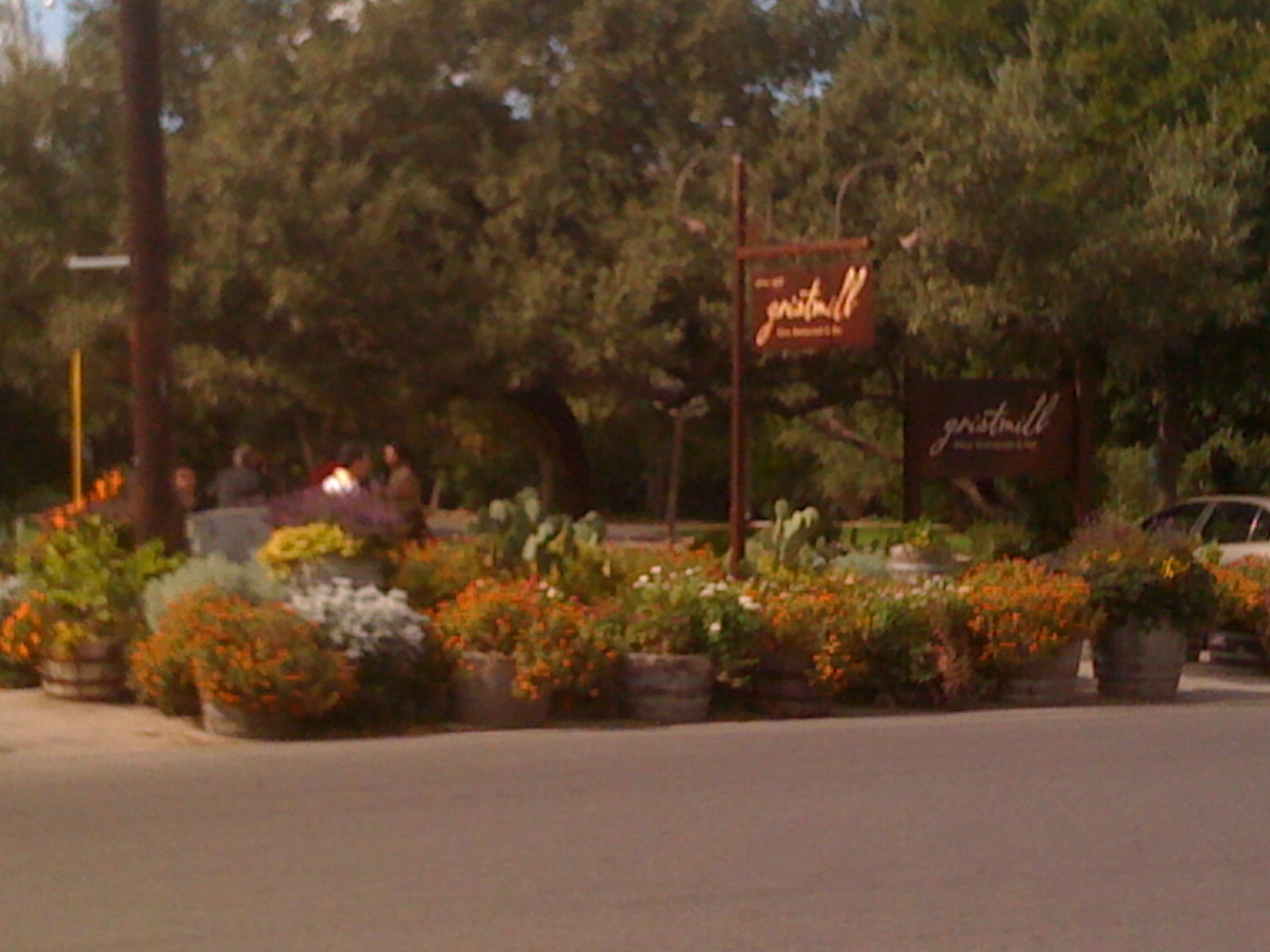 Linda Mooney's Other Worlds of Romance: Gruene, Texas, Part 2