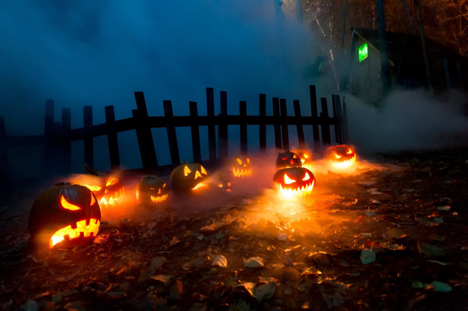 PUMPKINROT.COM: The Blog: Haunted Overload