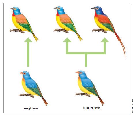A Teoria da Evolução Após Darwin: Especiação