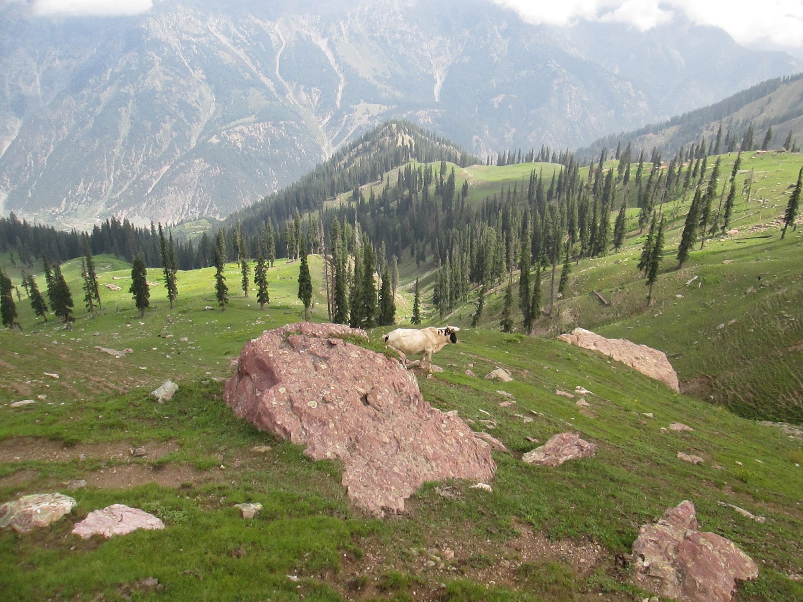 desan valley: desan valley