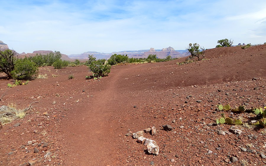Hiking in the White Mountains: Grand Canyon: Horseshoe Mesa