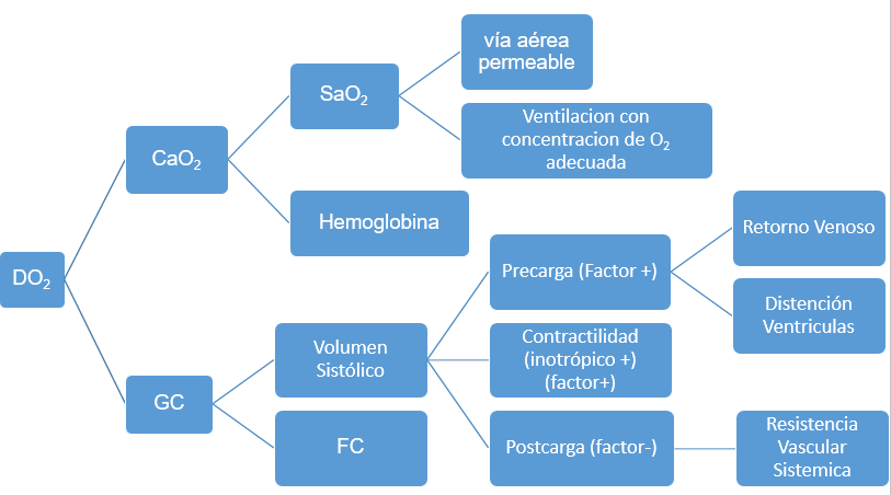 Diplomado en Aeromedicina: Reanimación, Shock y Productos Sanguíneos