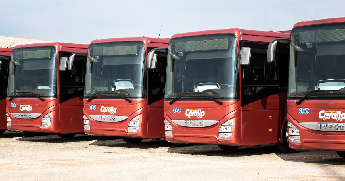 NoiVastesi: Cerella: rinnovato il CdA, confermato Pollutri alla presidenza