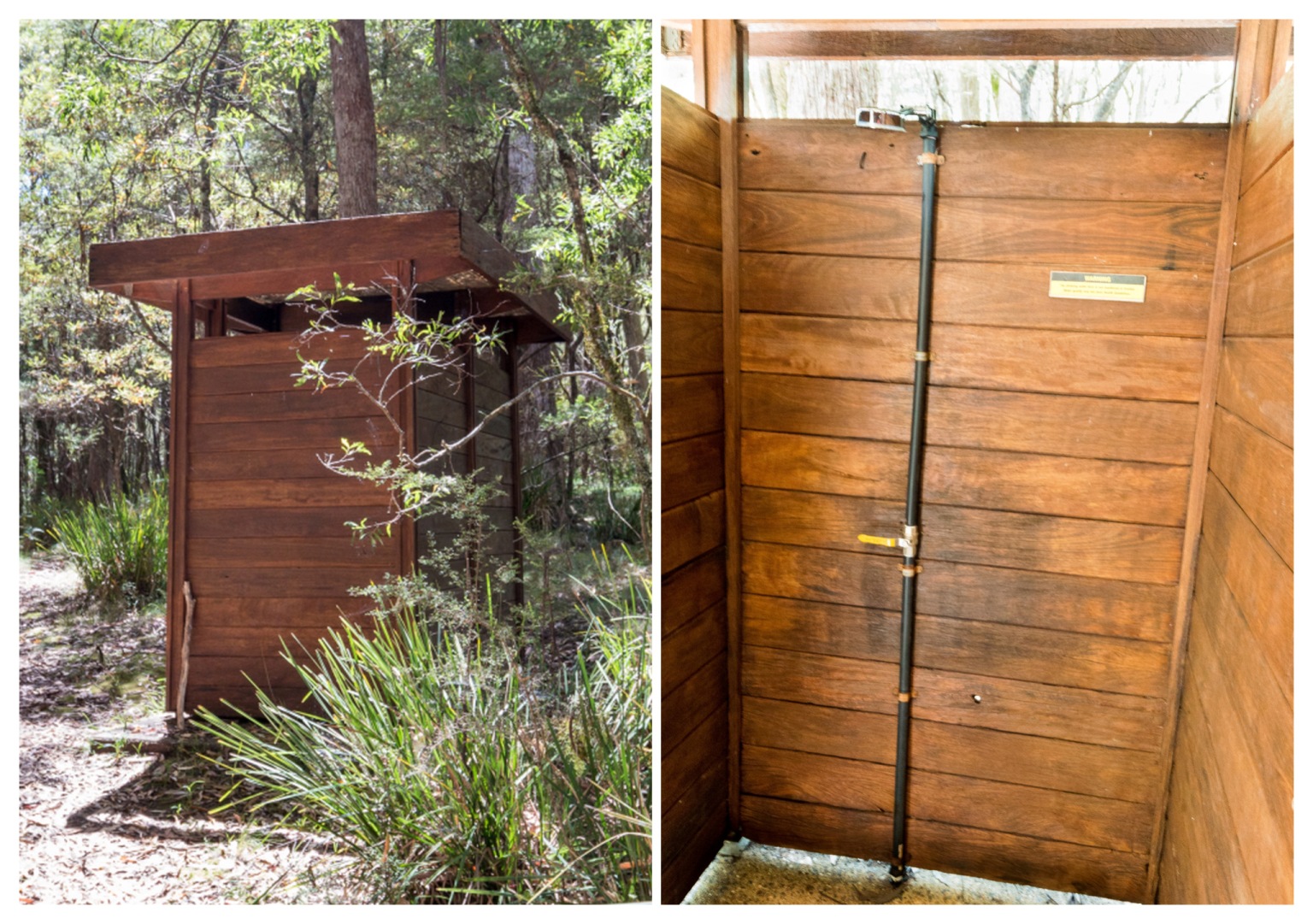 National Park Odyssey: Thungutti Campground, New England National Park ...