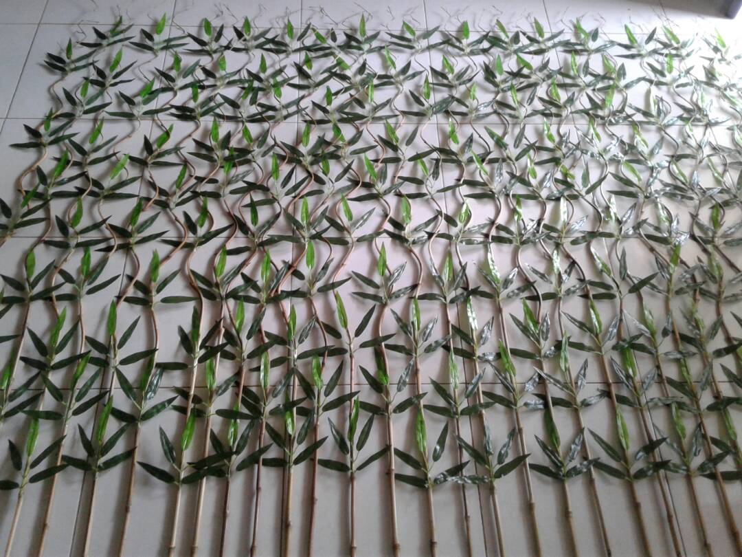 Pondok Dahar Lauk Jogja: Bambu Ulir @ Lauk Jogja (Twisted Bamboo with ...