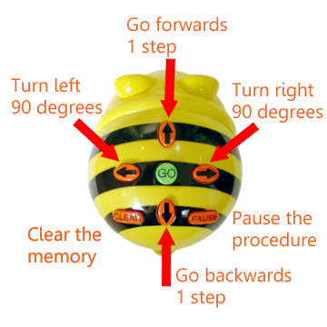 Anjali B's ICT Showcase website: FPP - Bee bots in maths