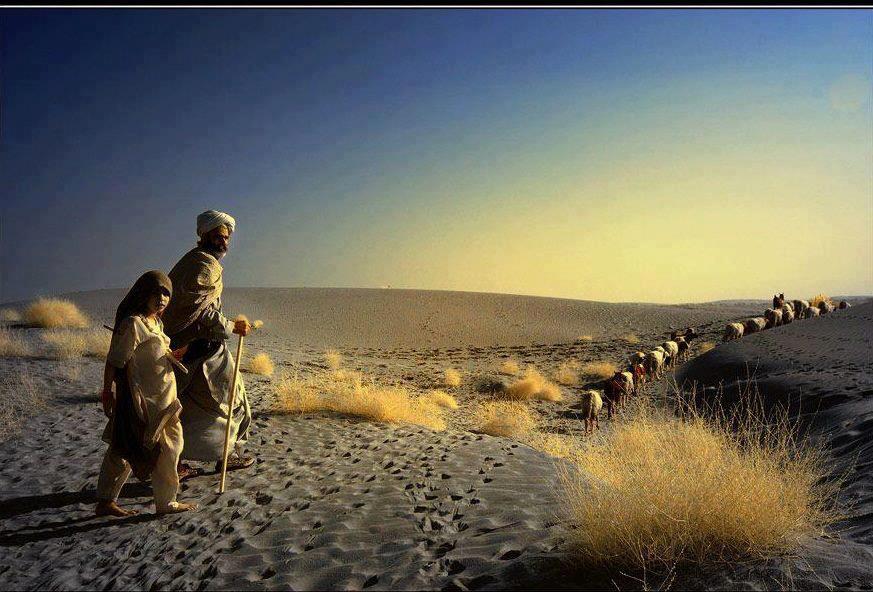 Learn Brahui/Brohi/Brahvi: 2013