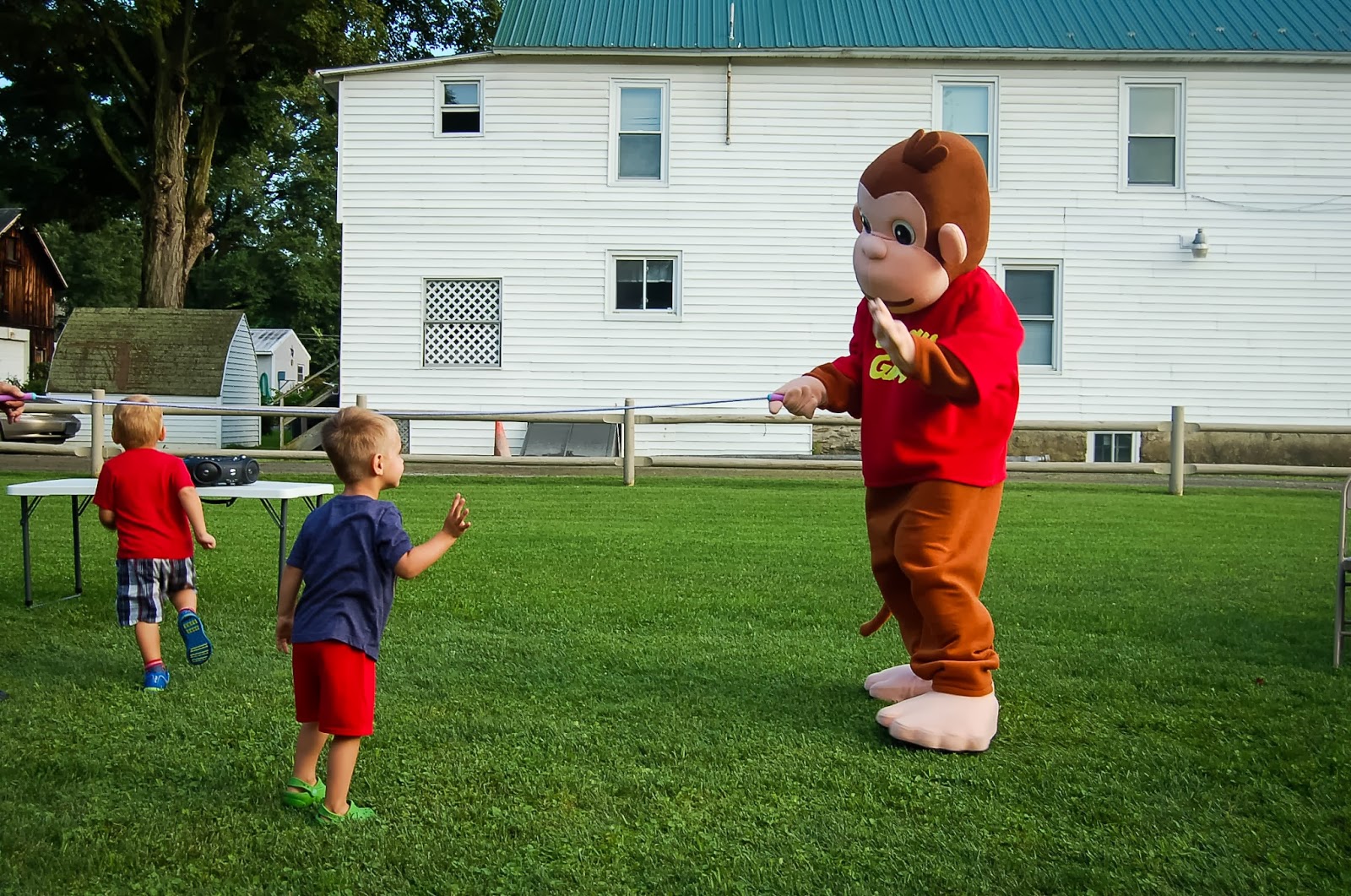 The Buddy Bee Makes Three: Buddy Bee Meets Curious George