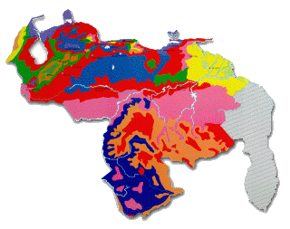 Estaciones 🌱🌱del año en VENEZUELA