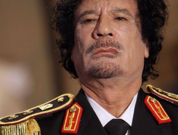 Vida Complicada Demais: Livro - O Harém de Kadafi