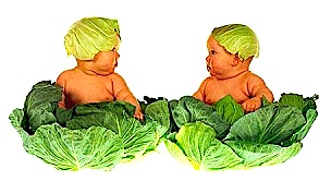 Historias y Pinturas: El Repollo