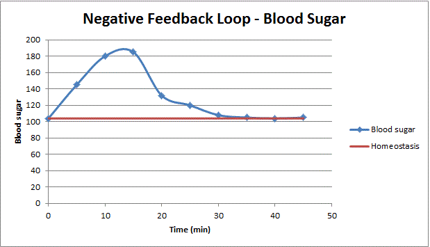 Negative Feedback Loop Diagram