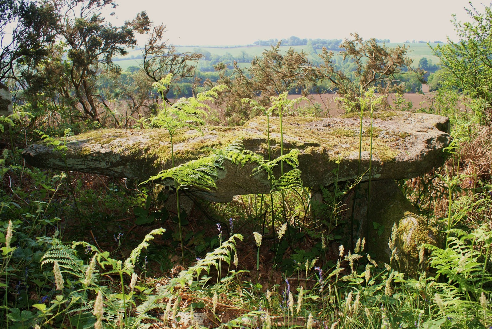 Microtourisme en Bretagne: ELLIANT - Le cairn Bar-Hir