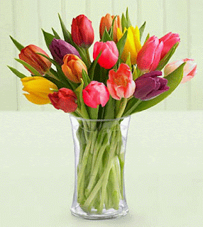 Tulips | World Of Flowers