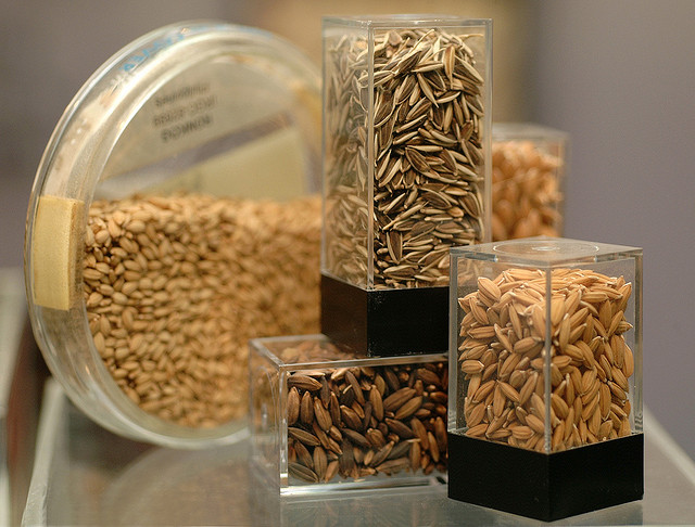 Tabaar Commodities - The Rice Exporter: How to Select Varieties of Rice