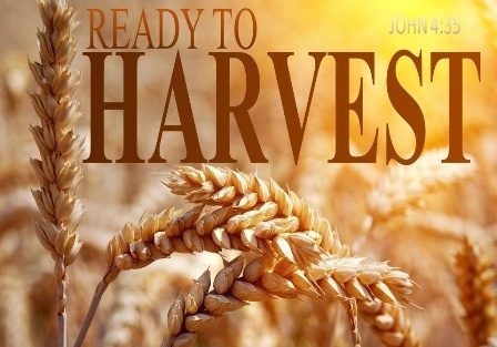 It's All About The Holy Word of God!: Christ Fruit & Fruit-Bearer