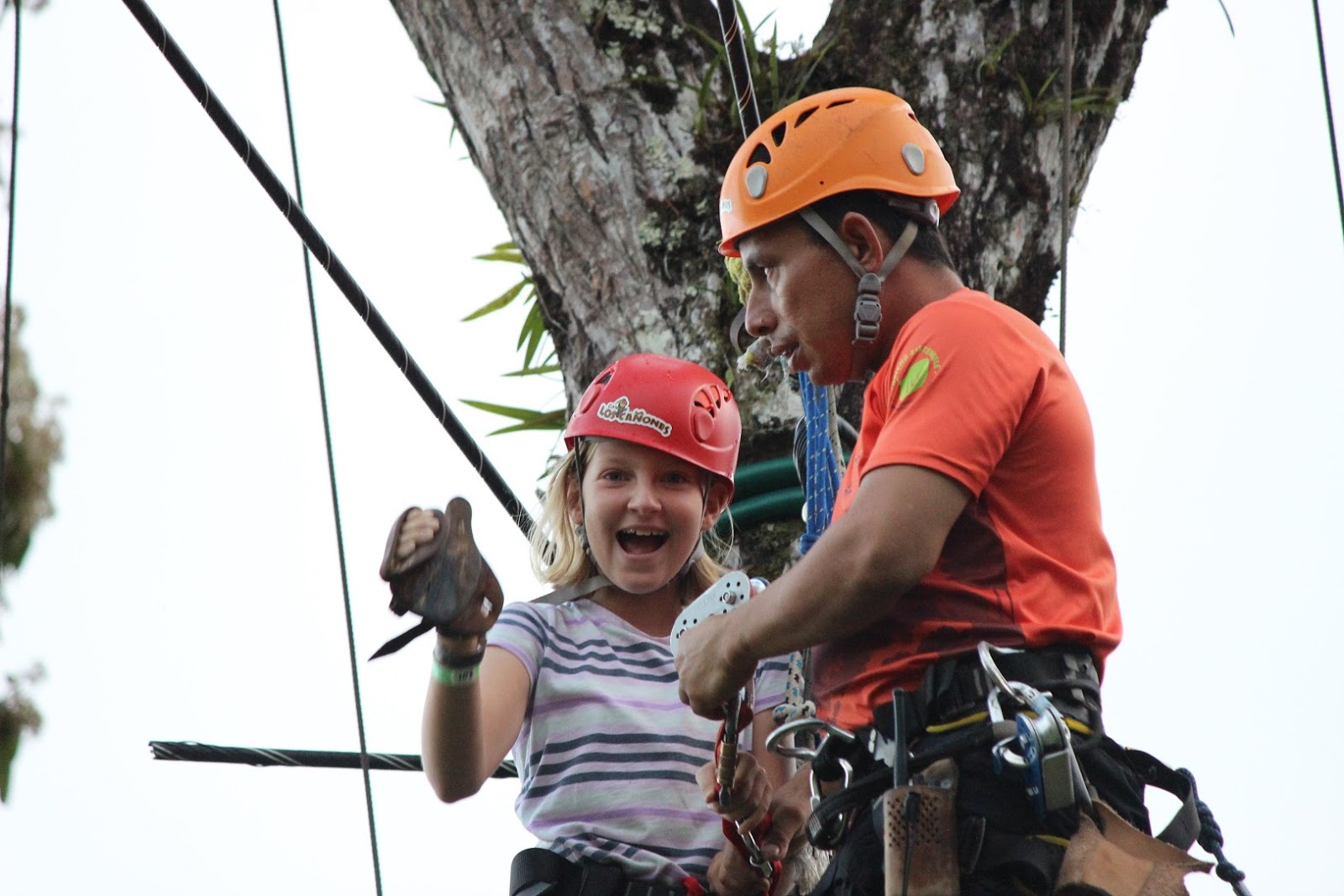 Finlay Family Fun: 2017