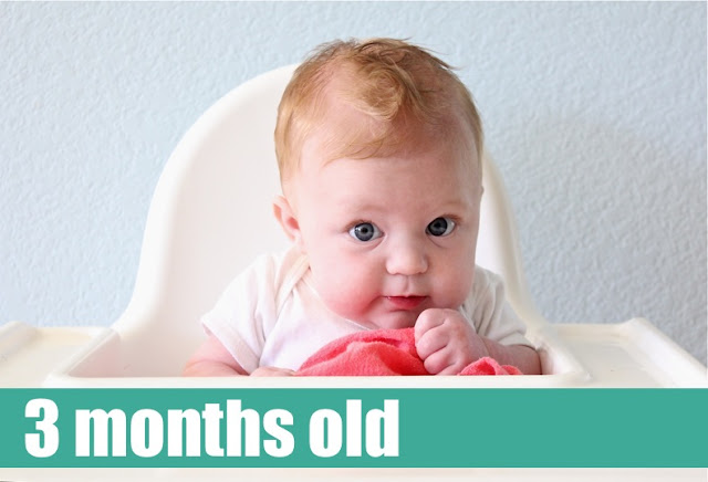 1, 2, 3 months - MADE EVERYDAY