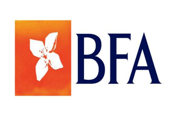 Recrutamento Banco BFA - Angola | Minha Caixa Nova