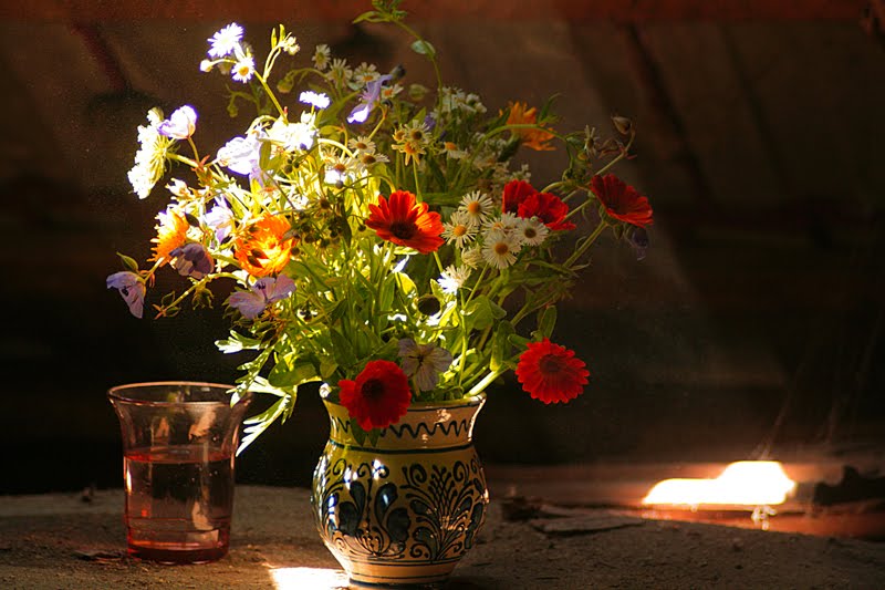 Fotodragan: Flori de vara