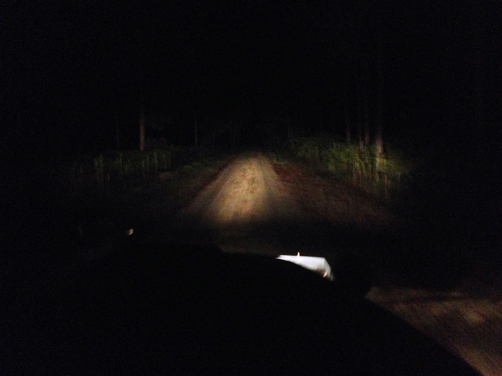 Take Another Road: Hunting and Fishing Babcock Ranch