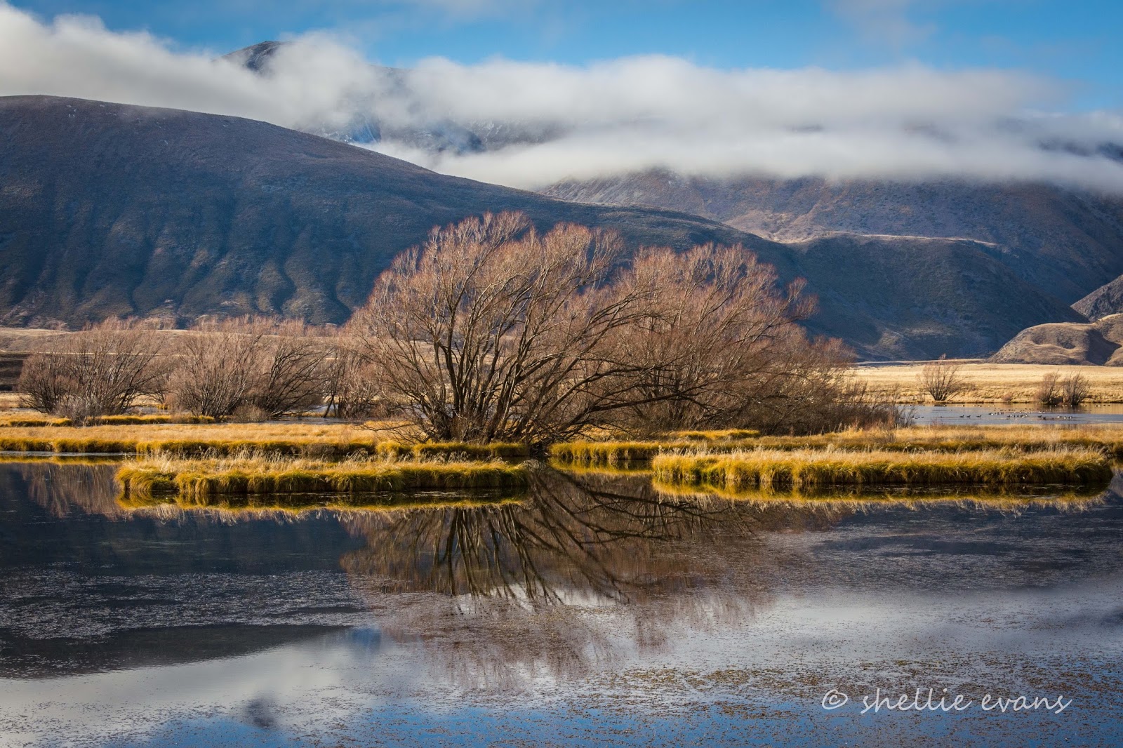 Two Go Tiki Touring: The Remote Ahuriri Valley- Part 1