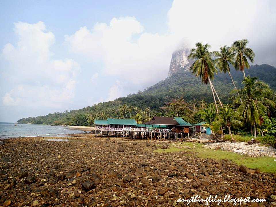 anythinglily: Jungle Trekking Into Mukut Village