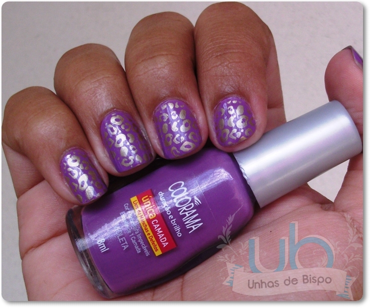 Oncinha colorida! - Blog Dona Bispa