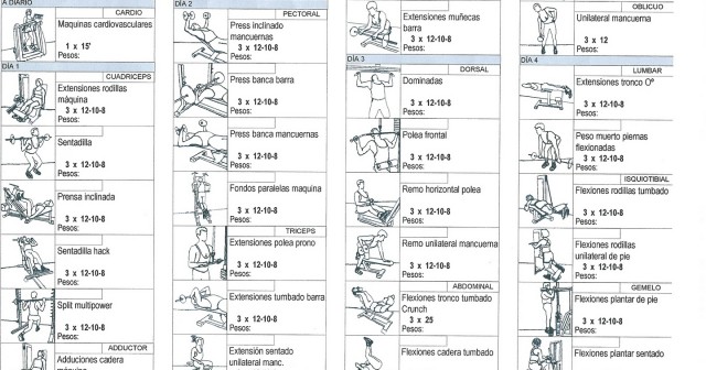 Gym es salud: Plan De Entrenamiento Semanal En El Gimnasio