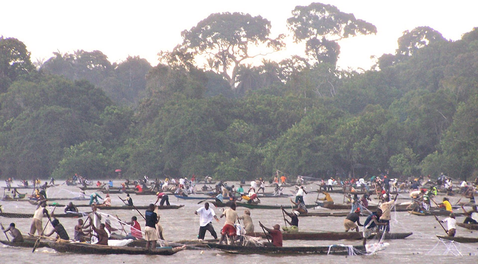 Like IPOB, New Group 'RONDEL' Surfaces, Demands For The Secession Of ...