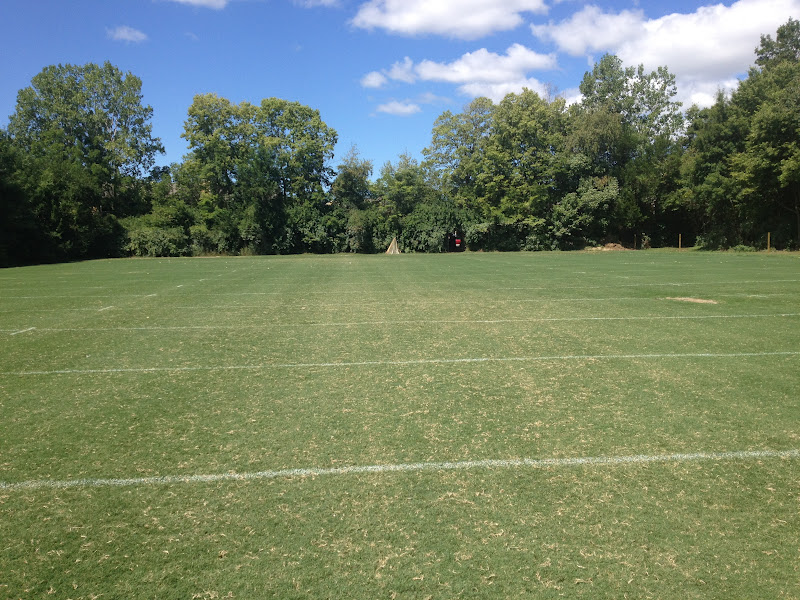 Smart Turf Seeded Riviera Bermuda Grass Update From Brebeuf