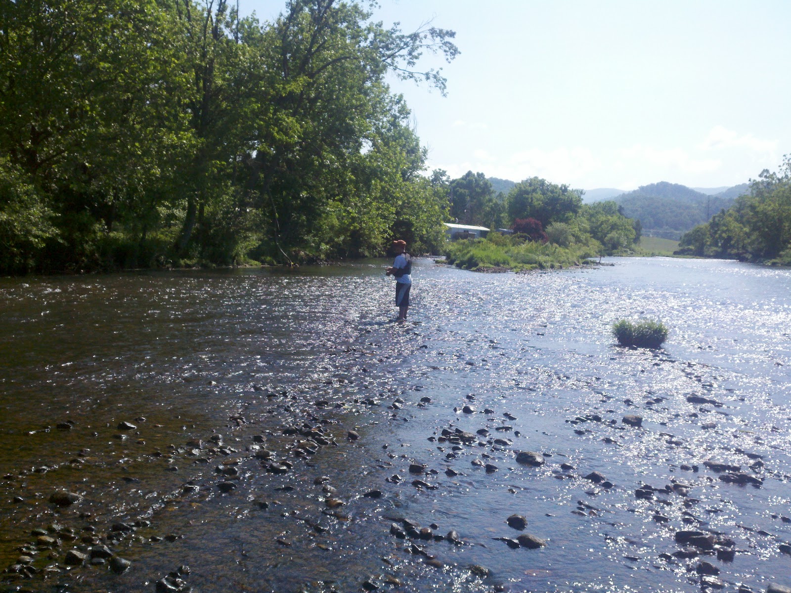 tnvarmint: Watauga River Information