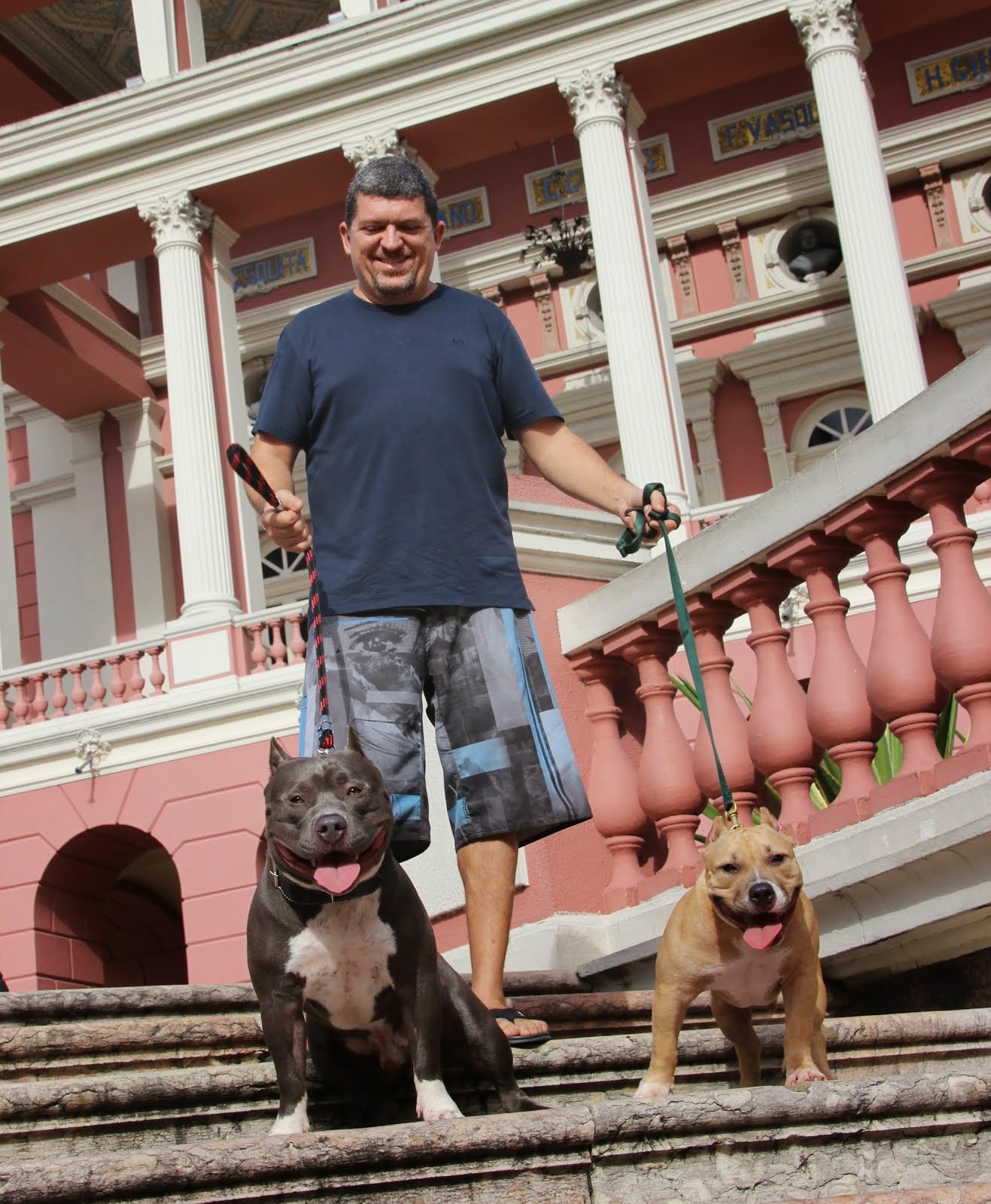 Carvalho Bulls: O American Bully - Origem Carvalho Bulls: O American Bully - Origem