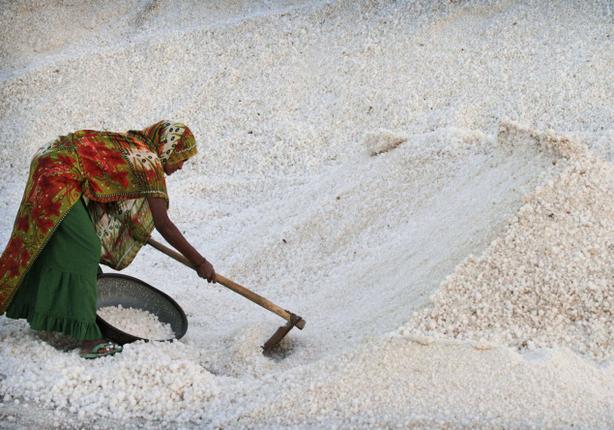 AGARIYA HEETRAKSHAK MANCH: Salt pan workers of the Rann of Kutch; The ...