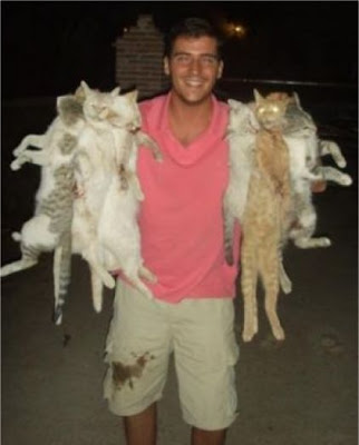 Funny Animals Funny Pictures: Dead Cats Funny Pictures