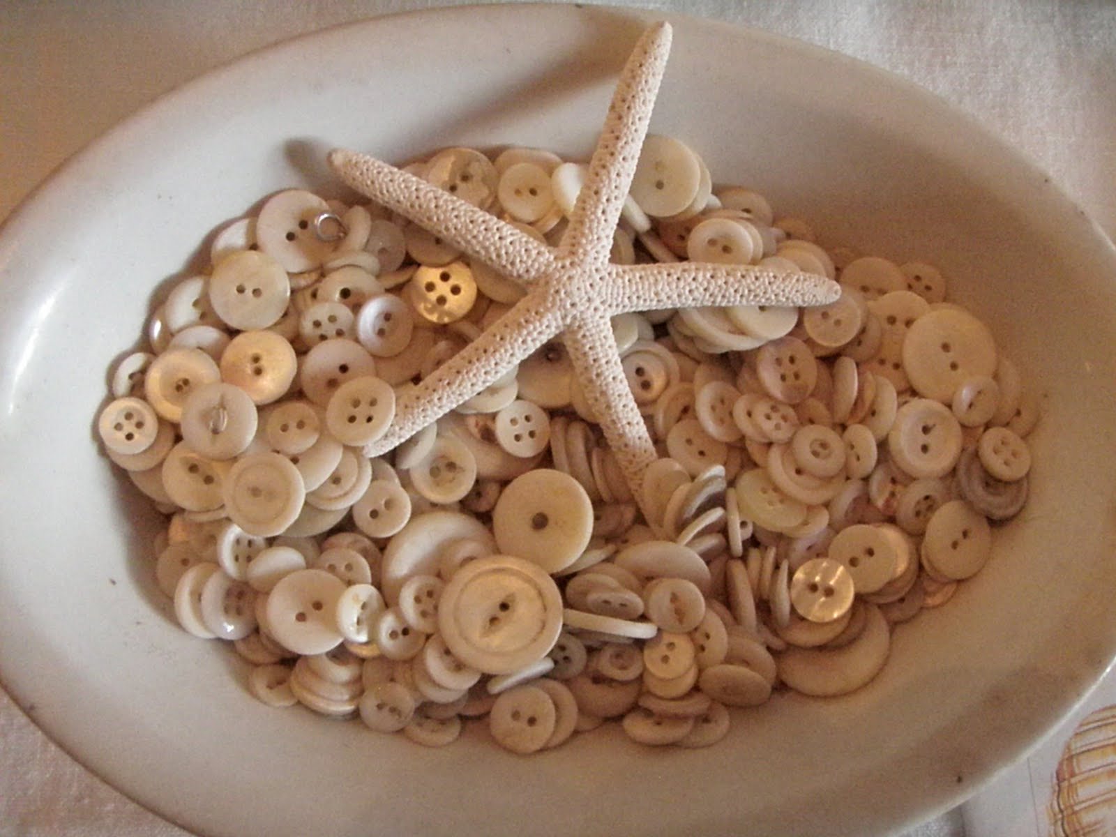 Cabin & Cottage : Sea Shells, Buttons, & Bowls