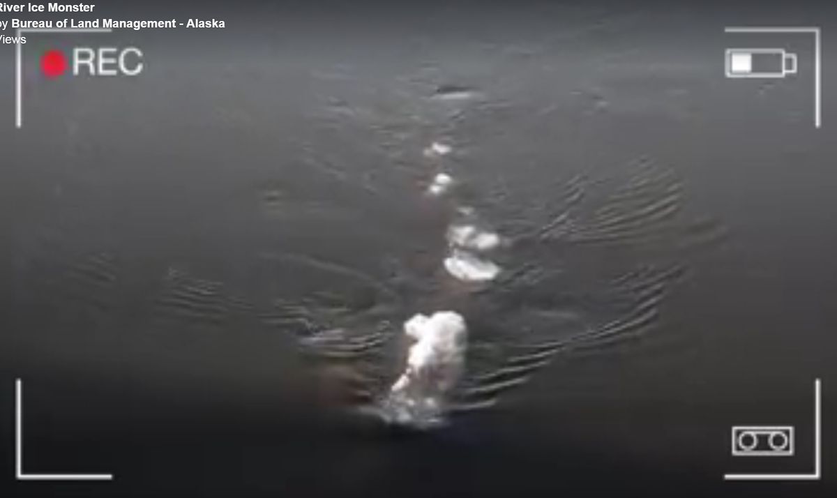 HPANWO Voice: Lake Monster in Alaska
